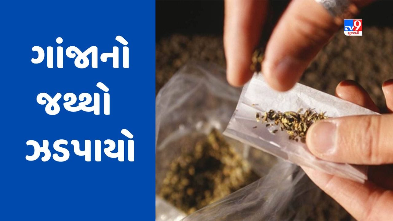Surat : ગાંધીધામ એક્સપ્રેસ ટ્રેનના જનરલ કોચમાંથી ઝડપાયો 40 કિલોથી વધારે ...