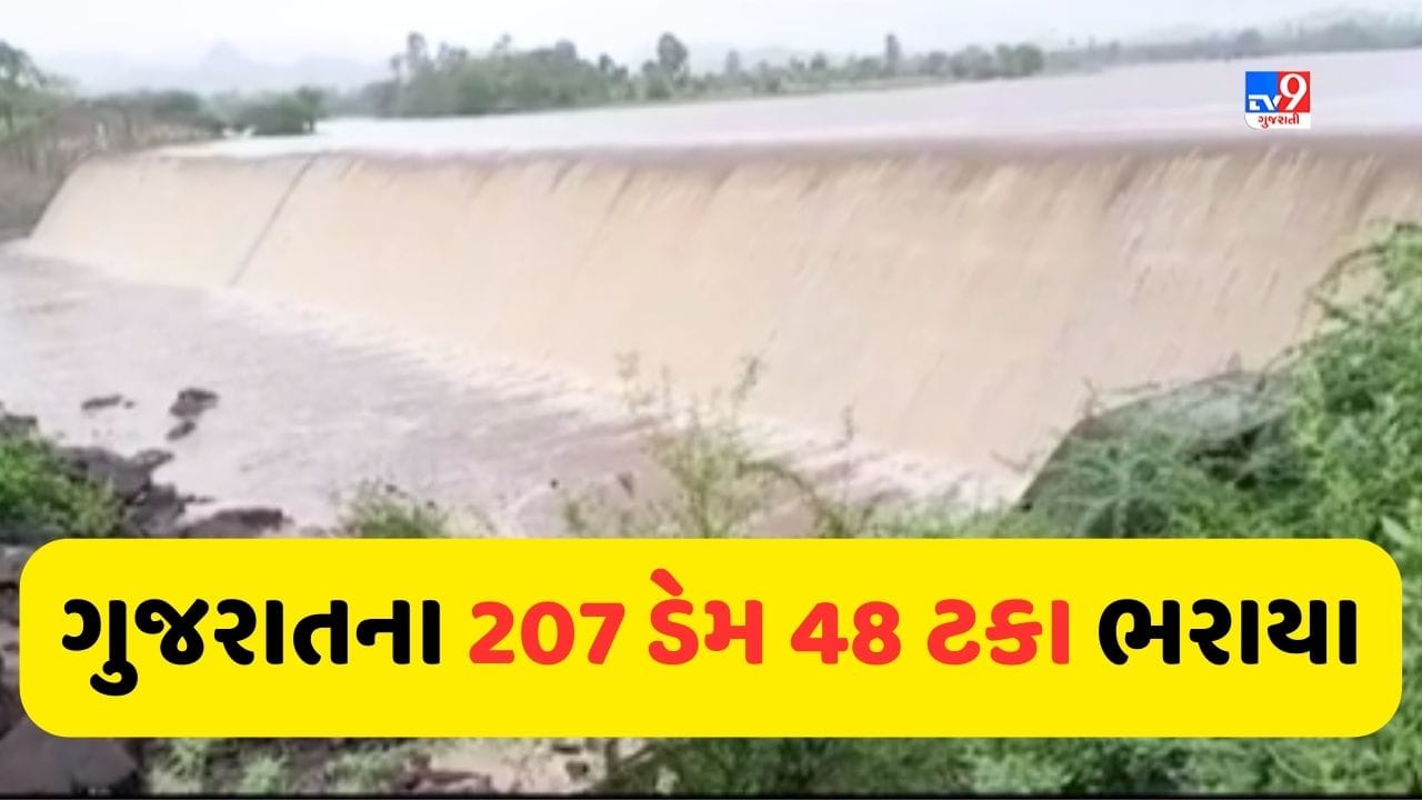 Gujarat Dam Video : ગુજરાતના 207 ડેમ 48 ટકા ભરાયા, સરદાર સરોવર ડેમ 58 ...