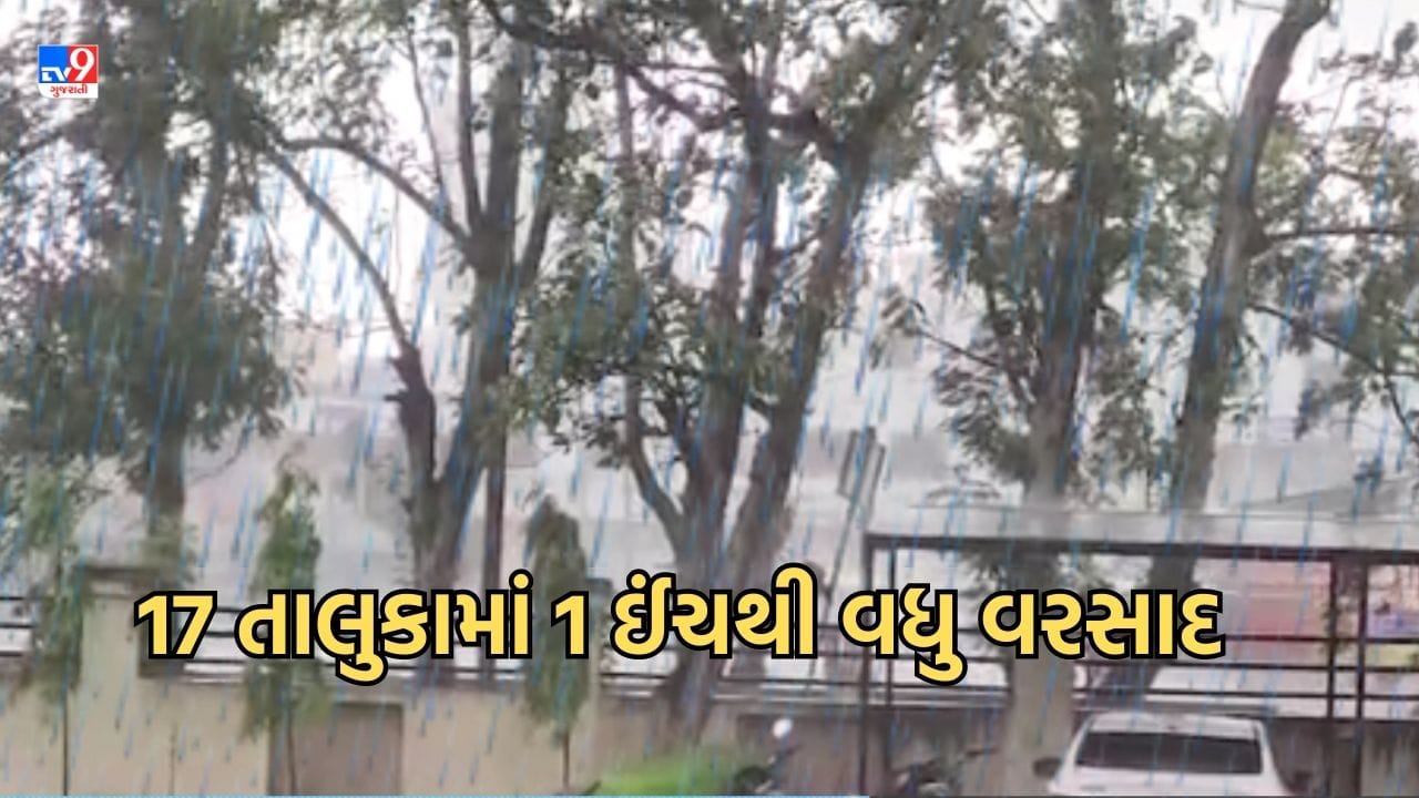 Gujarati Video: રાજ્યના 17 તાલુકાઓમાં 1 ઇંચથી વધુ વરસાદ, સૌથી વધુ ...