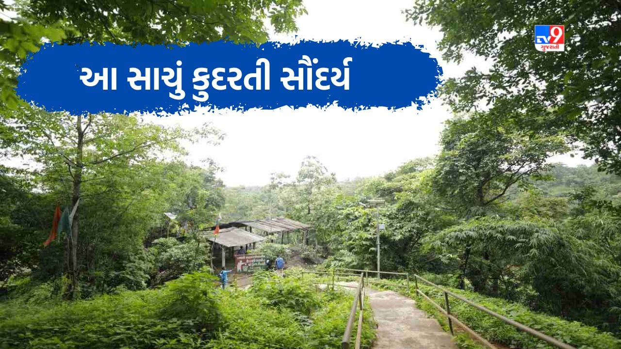 ચોમાસામાં સુરતનું આ સ્થળ જાણીતા પ્રવાસન સ્થળોને આપે છે ટક્કર, જુઓ ...
