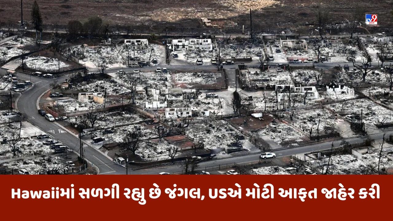Hawaiiમાં સળગી રહ્યુ છે જંગલ, અમેરિકાએ મોટી આફત જાહેર કરી, જુઓ Photos ...