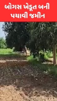 The land was digested by becoming a fake farmer in Chaklasi village see ...