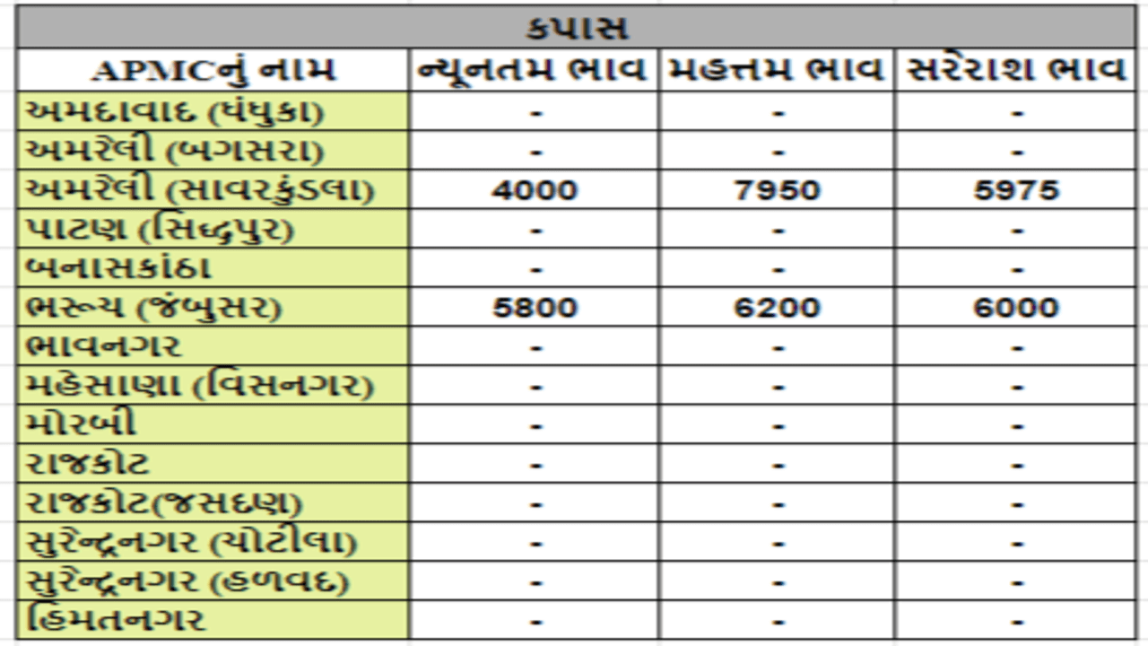 Mandi : સાવરકુંડલાની APMCમાં કપાસના મહત્તમ ભાવ રૂપિયા 7950 રહ્યાં - Gujarati News | Mandi: The ...