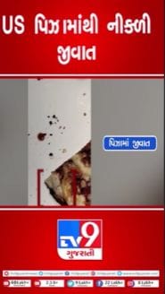 Insect Found In Pizza At Pizza Eatery Shop In Jamnagar Watch Video ...