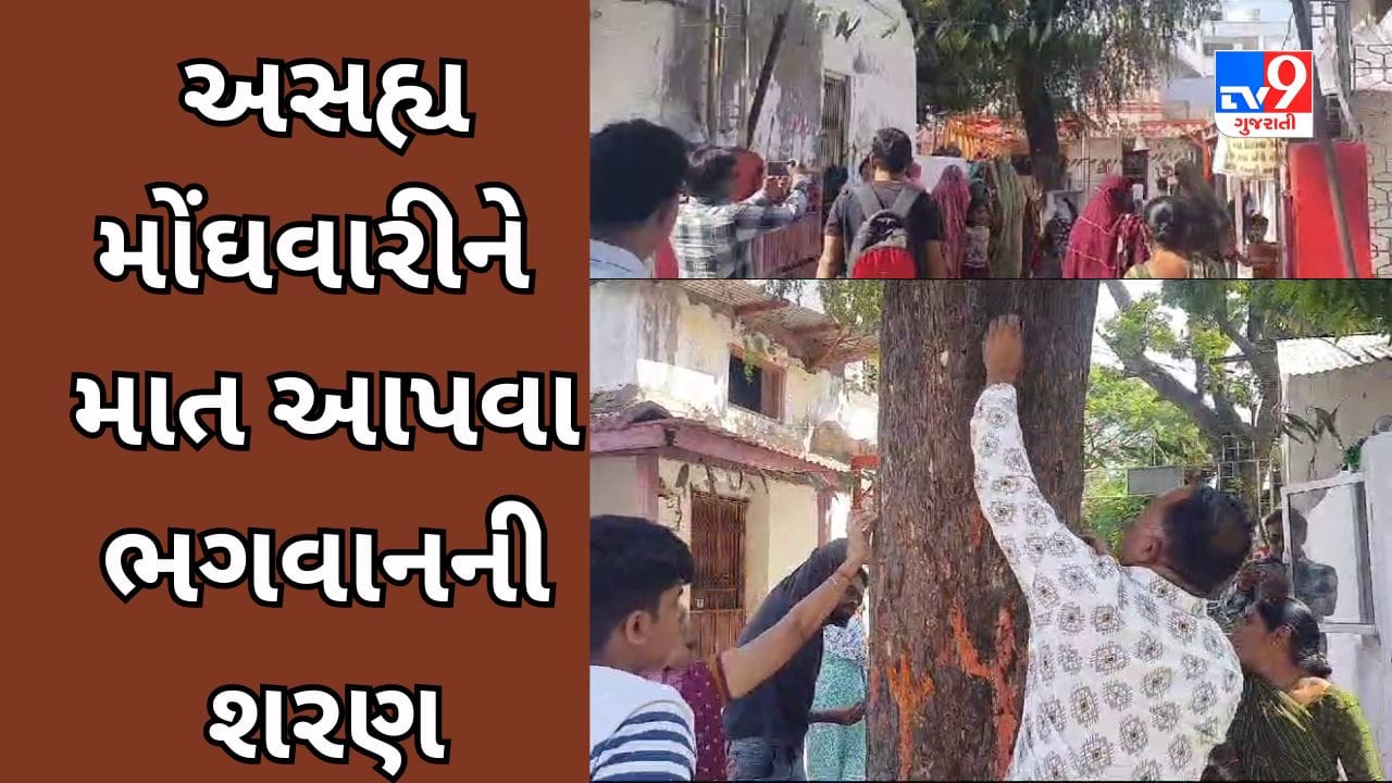 Bharuch : અસહ્ય મોંઘવારીને માત આપવા ભગવાનની શરણ, આશીર્વાદ માટે ઇજા પણ ...