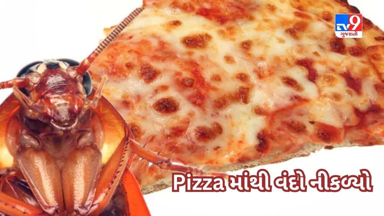 Surat : કામરેજ La Pinozના Pizzaમાંથી વંદો નીકળ્યો, ગ્રાહકે હોબાળો ...