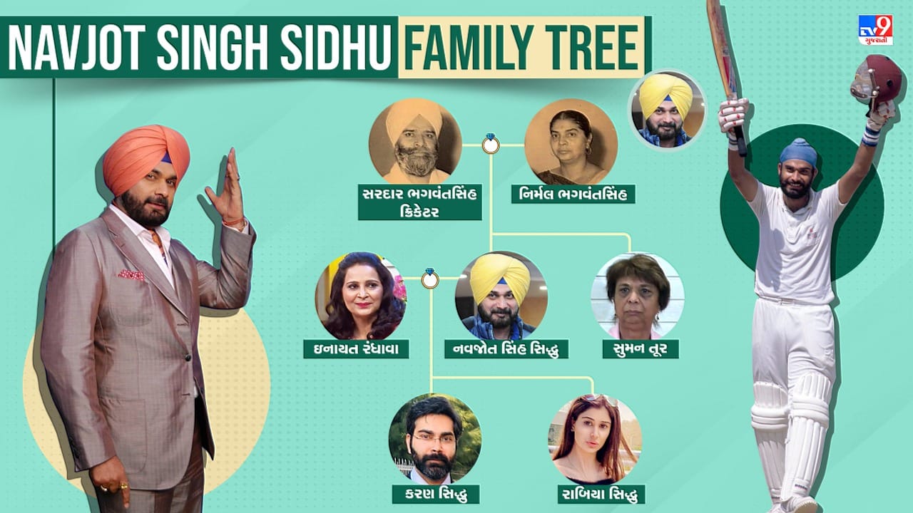 ક્રિકેટ બાદ સિદ્ધુએ ટીવી પર પણ દર્શકોનું મનોરંજન કર્યું, જેલમાં પણ જઈ ...