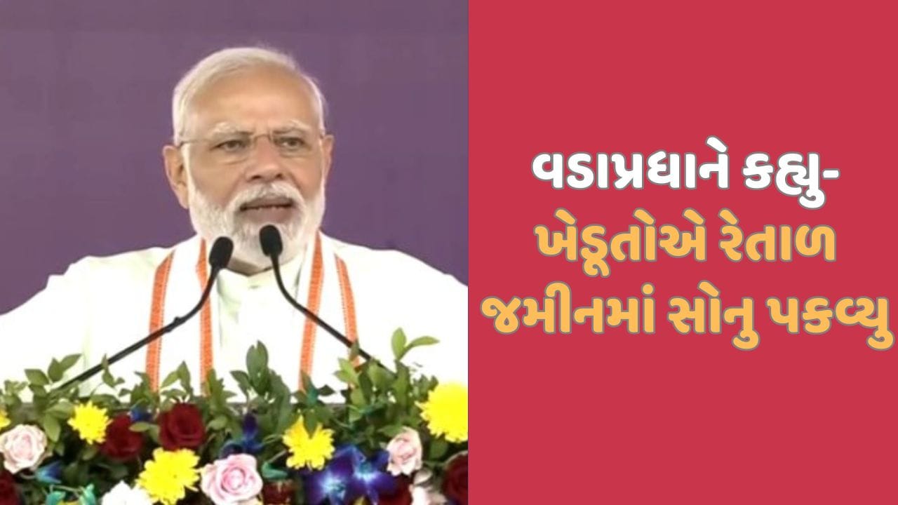 રેતાળ જમીનમાં સોનું પકવવાનુ કામ ઉત્તર ગુજરાતના ખેડૂતોએ કર્યુ-PM મોદી ...