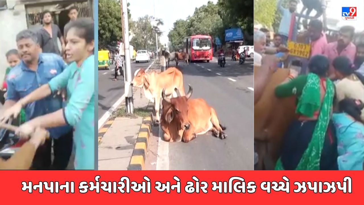 Rajkot Video: ઢોર પકડવા જતા કર્મચારીઓ સાથે મહિલાઓએ કરી ઝપાઝપી, મામલો ઉગ્ર બનતા પોલીસને કરાઈ જાણ ...