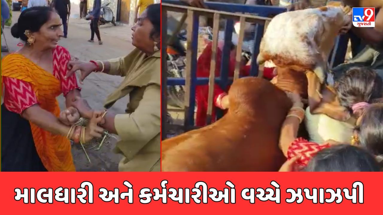 Rajkot Video : ઢોર પકડ પાર્ટી અને માલધારીઓ વચ્ચે ઝપાઝપી, ઢોરપકડનારી ટીમના કર્મચારીઓના કપડા ફાડી ...