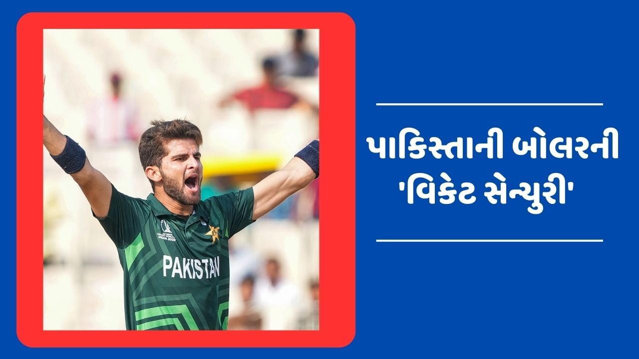 શાહીન શાહ આફ્રિદીએ વર્લ્ડ કપ 2023માં તોડ્યો મોટો વર્લ્ડ રેકોર્ડ મિચેલ