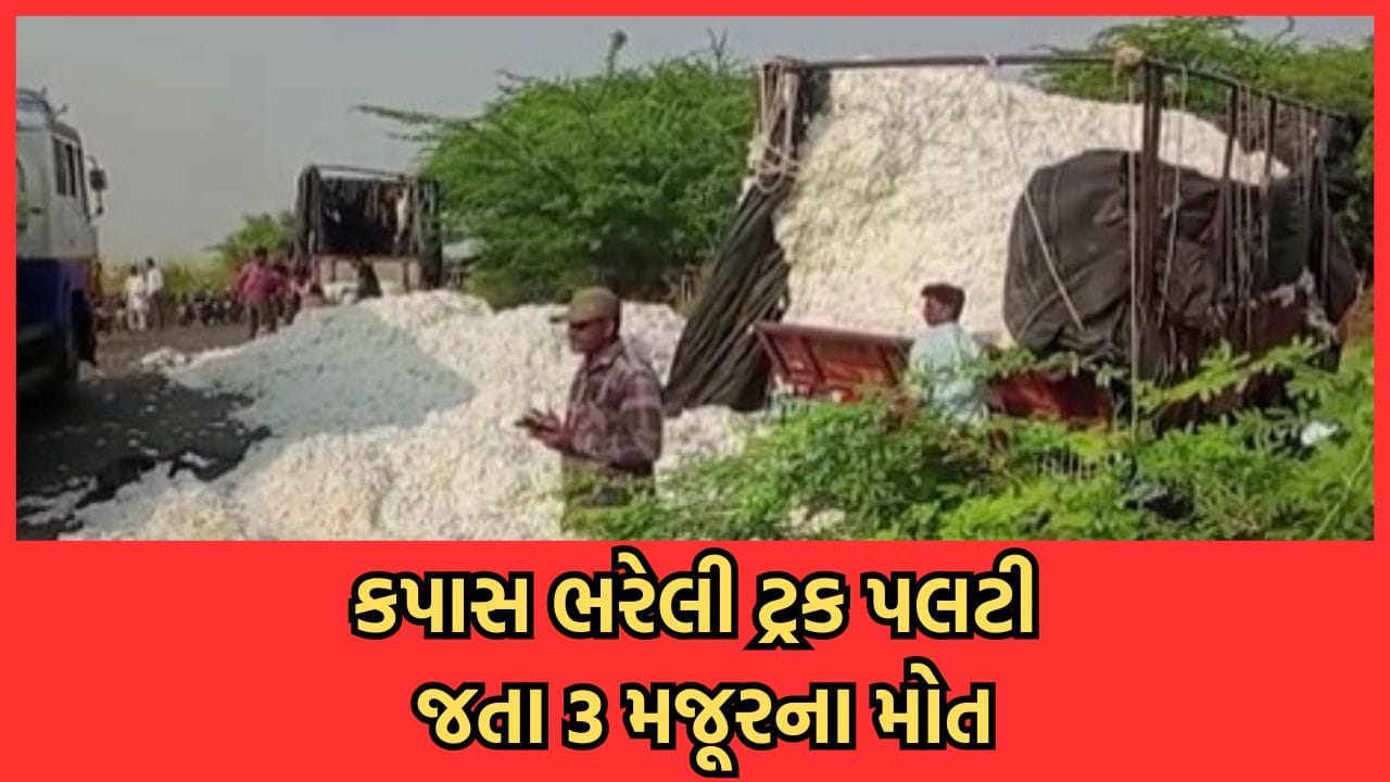 ભાવનગર: ગારીયાધાર-ફિફાદ રોડ પર કપાસ ભરેલો ટ્રક પલટી જતા 3 મજૂરોના ઘટના ...