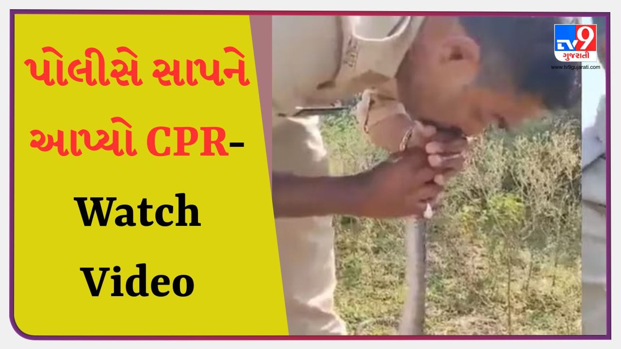 Shocking Viral Video : પોલીસકર્મીએ કરી કમાલ, ઝેરથી મરતા સાપને આપ્યું ...