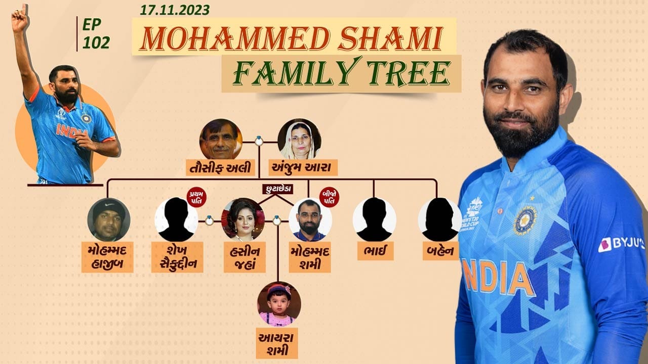 મોહમ્મદ શમી પૂર્વ પત્નીને દર મહિને 4 લાખ રૂપિયા ભરણપોષણ આપશે, આવો છે ...