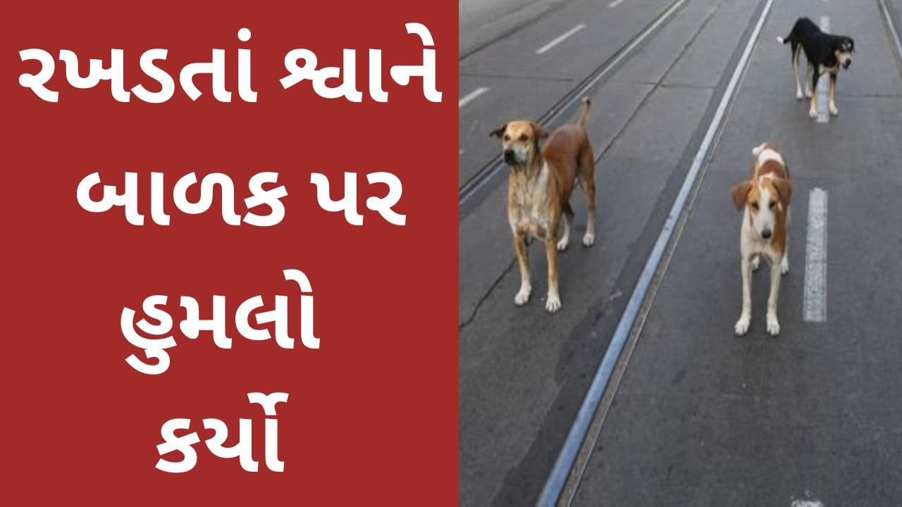 સુરત : રખડતાં પશુઓનો આતંક યથાવત, શ્વાને 4 વર્ષના બાળક પર હુમલો કર્યો ...