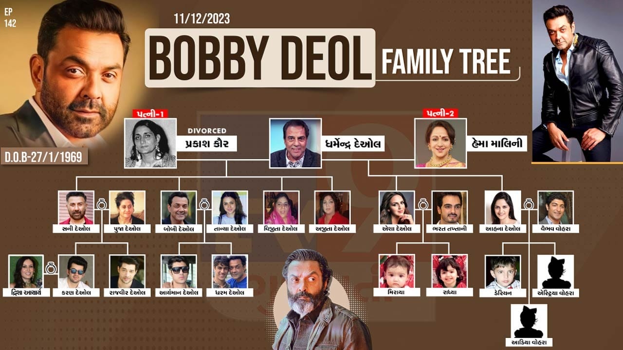 એનિમલ ફિલ્મમાં જમાલ કુડુ ગીતથી ધમાલ મચાવી ચૂકેલા અભિનેતાનો આજે છે ...