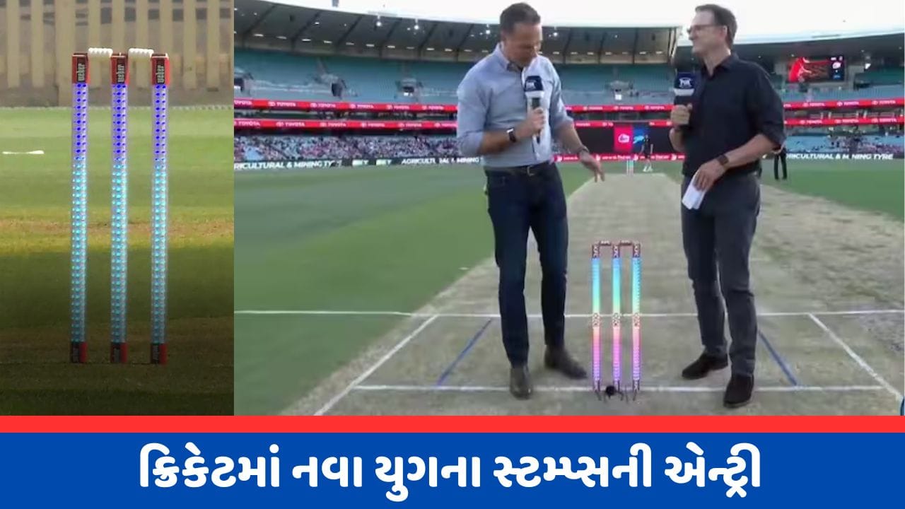 વીડિયો : કાંચિડાની જેમ રંગ બદલશે સ્ટમ્પ્સ, બીગ બેશ લીગમાં દેખાયો અનોખો ...