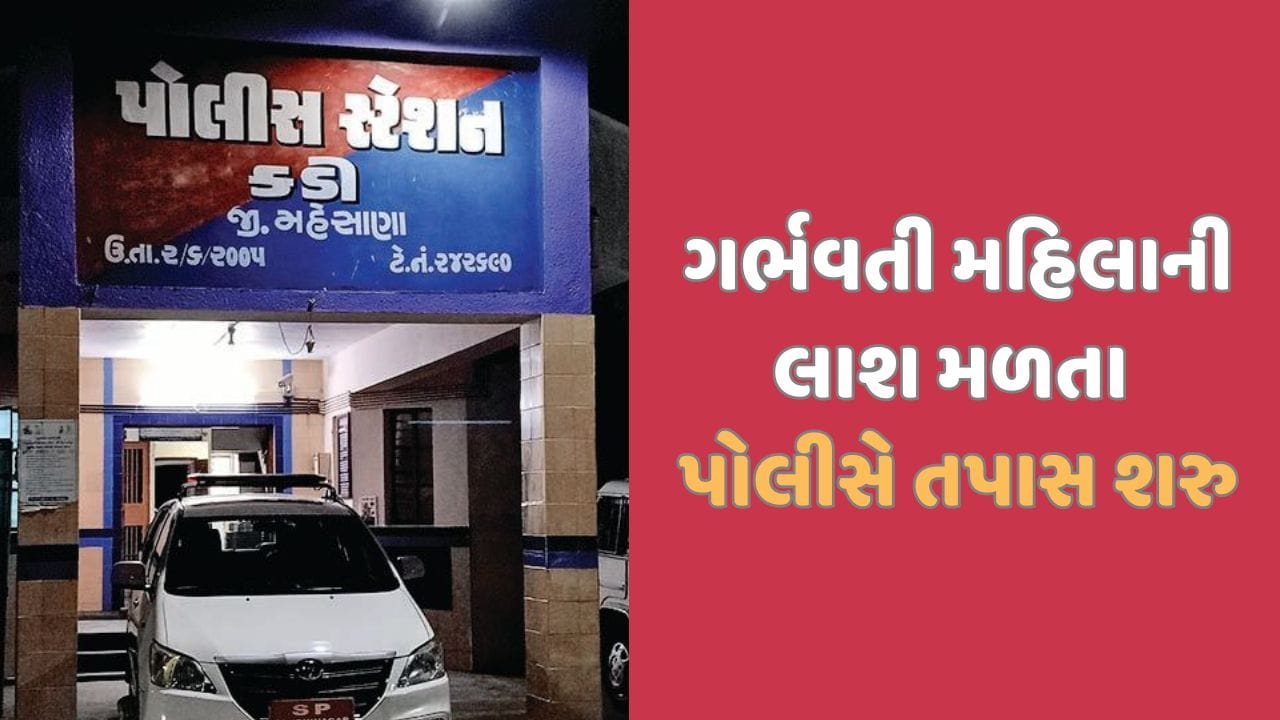 કડી નજીક કેનાલમાંથી ગર્ભવતી મહિલાની ચાદરમાં બાંધેલ લાશ મળી, હત્યાની ...