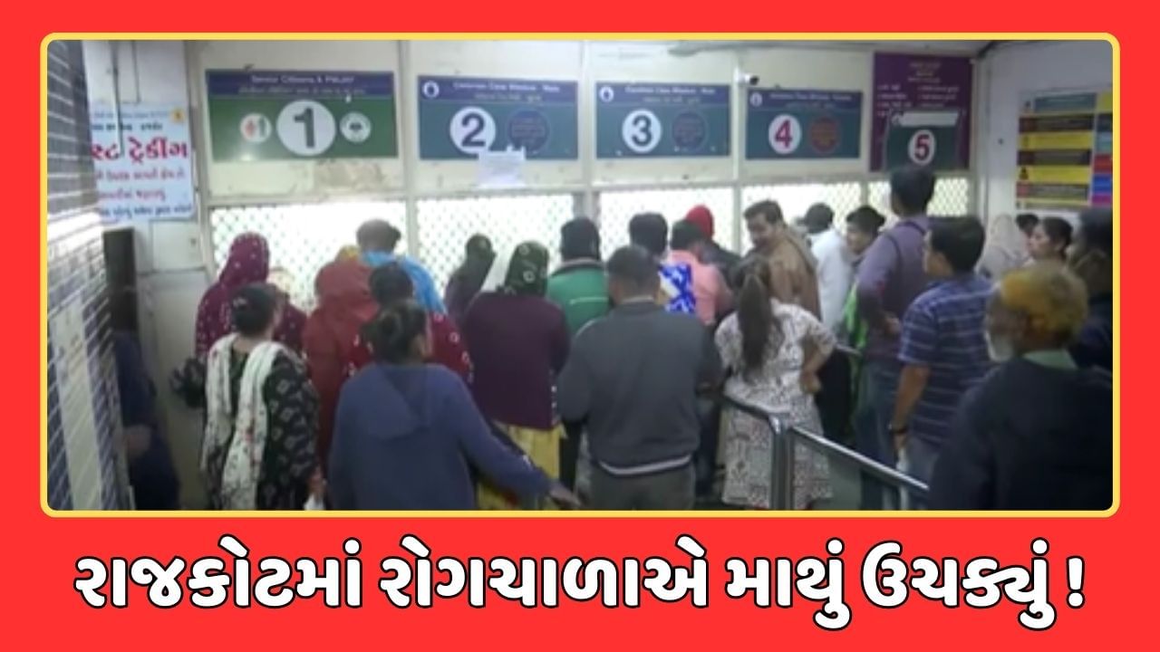 રાજકોટમાં મચ્છરજન્ય-પાણીજન્ય રોગચાળાએ ઉચક્યું માથું, શરદી-ઉધરસના 1081થી વધુ કેસ નોંધાયા, જુઓ ...