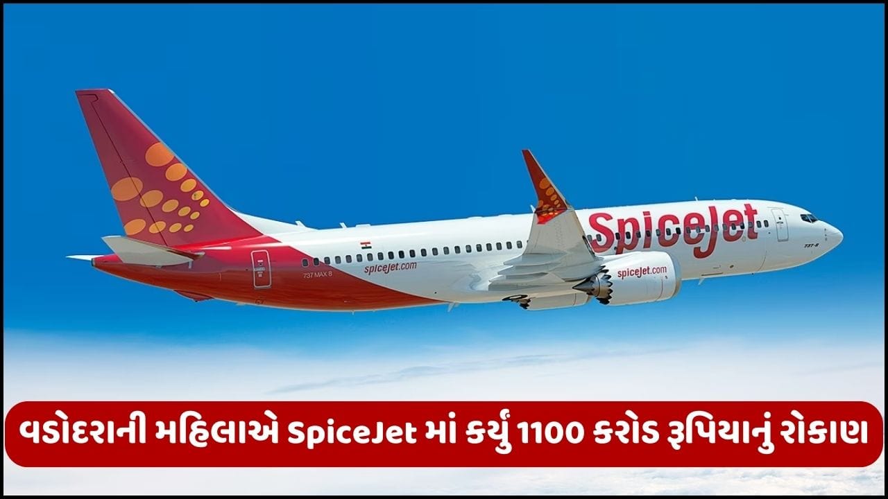 વડોદરાની મહિલાએ SpiceJet માં કર્યું 1100 કરોડ રૂપિયાનું રોકાણ, જાણો કોણ ...