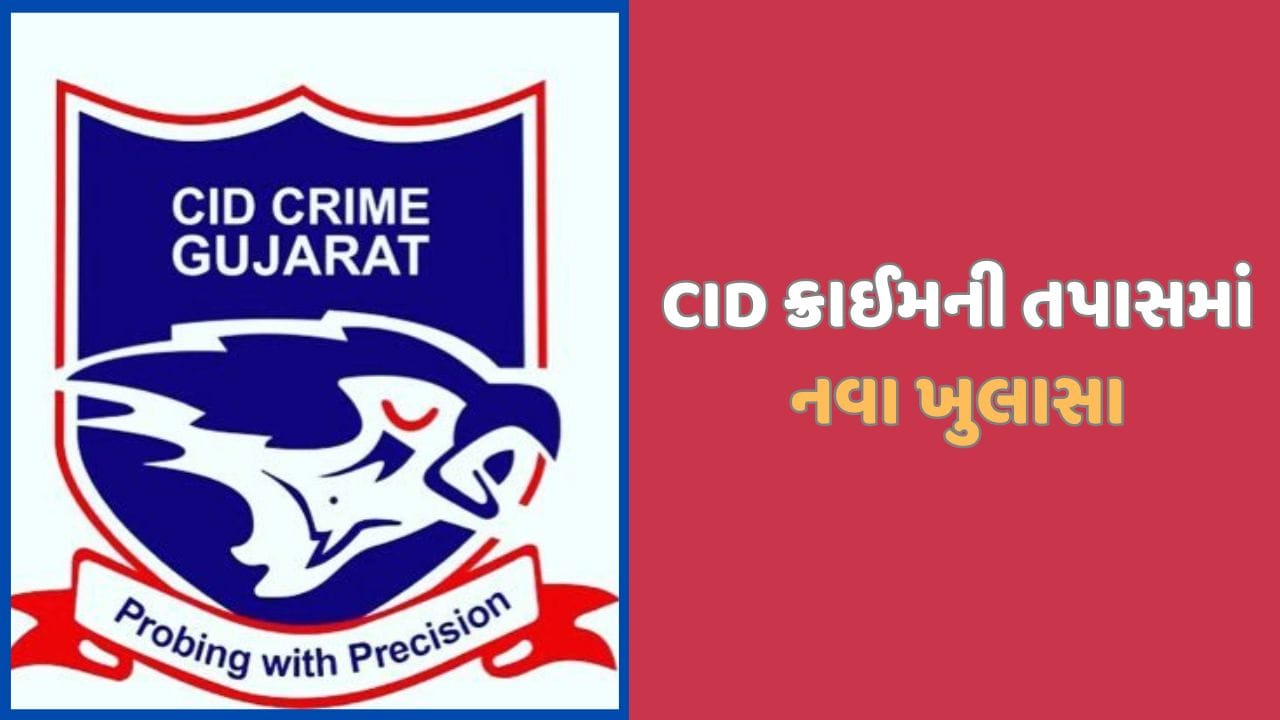 કબૂતરબાજી મામલે CIDની તપાસમાં થયા વધુ ખુલાસા, ઇન્વેસ્ટર સામેલ હોવાનું ...