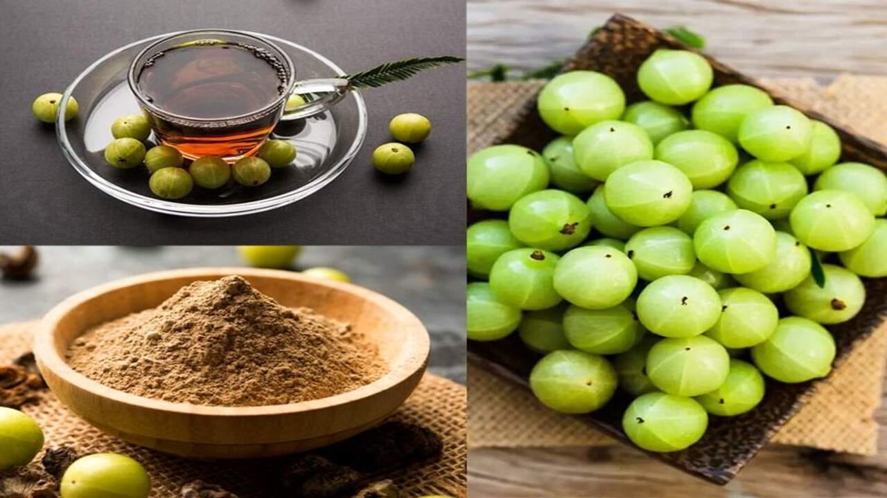 Health News: સવારે ખાલી પેટ પીવો આ પાઉડરમાંથી બનેલી ચા, પેટની બધી જ ...