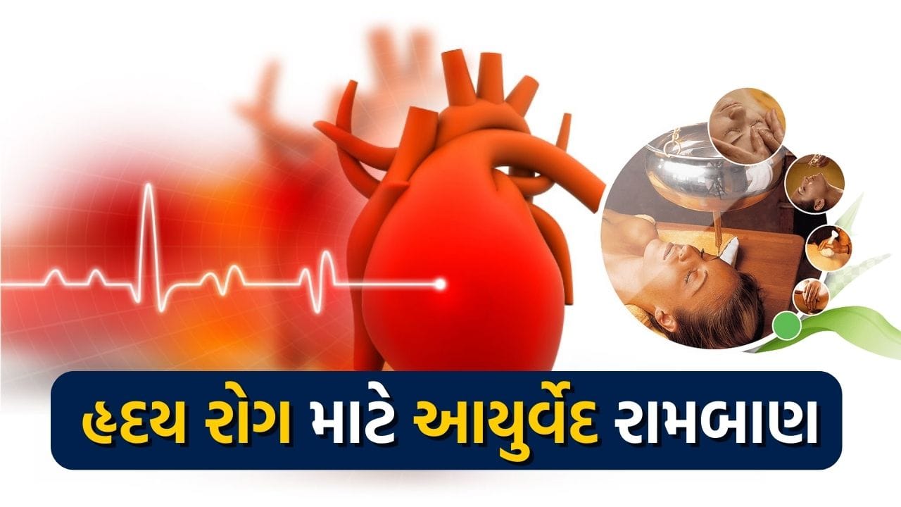 હાર્ટ એટેક સામે આયુર્વેદ બન્યું રામબાણ, સર્જરી વગર હૃદયનું 90 ટકા ...