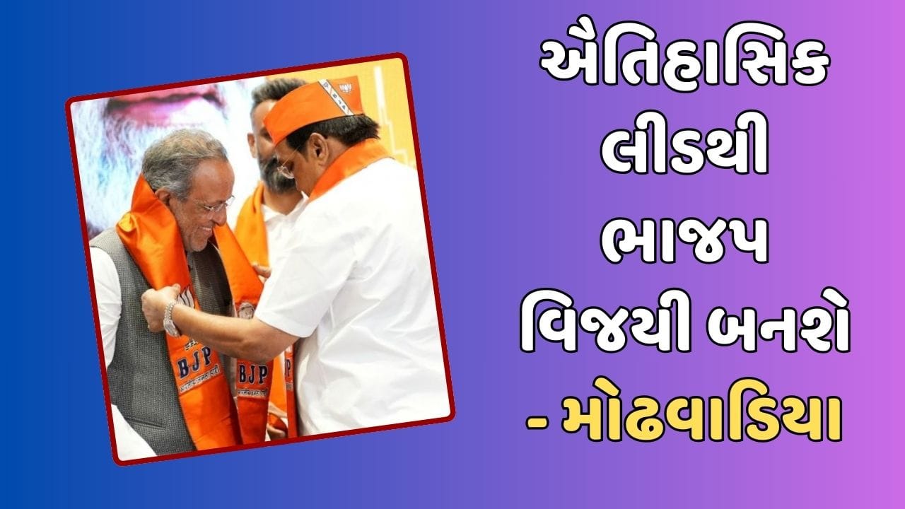 Video : પોરબંદરની પેટાચૂંટણી માટે ભાજપે અર્જુન મોઢવાડિયાને આપી ટિકિટ ...