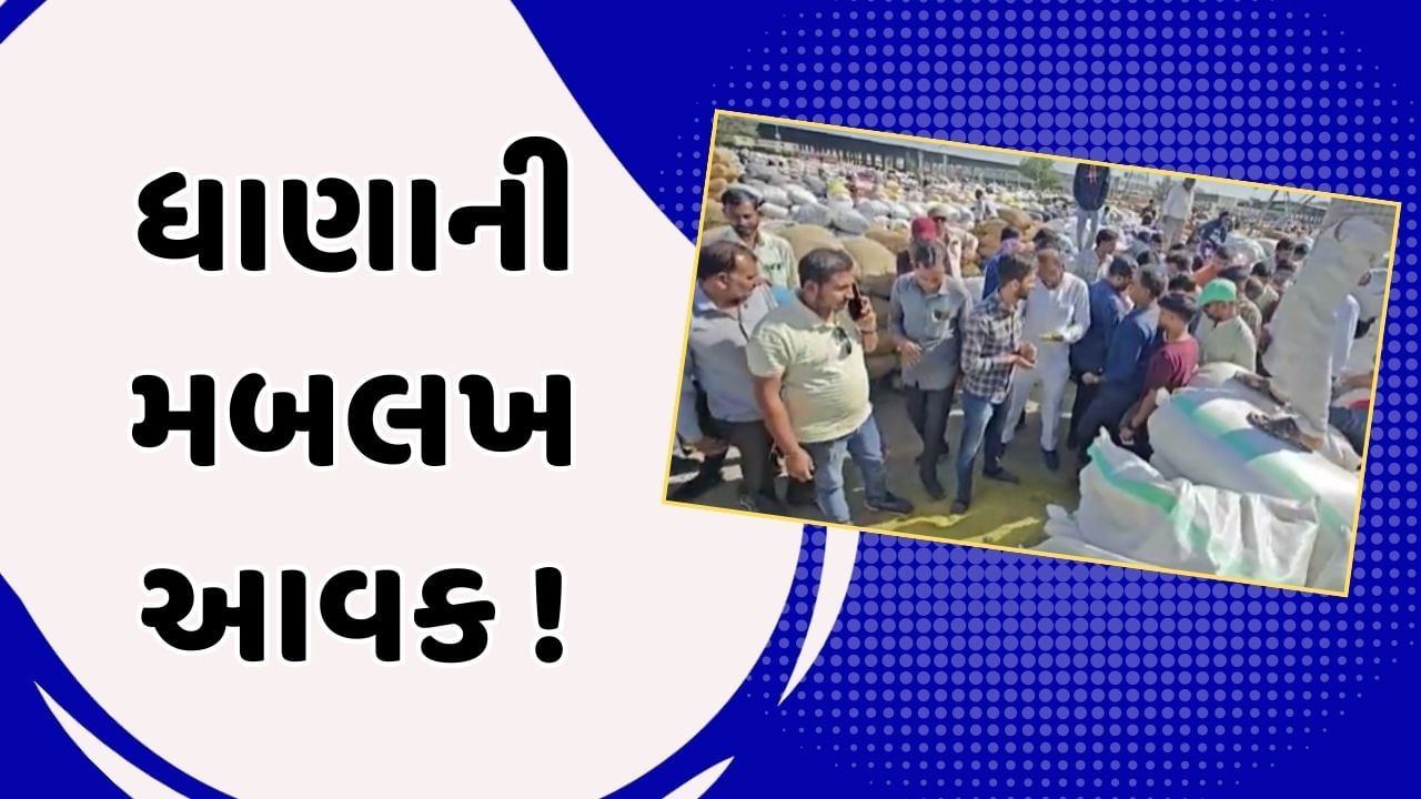 Rajkot Video : ગોંડલ માર્કેટ યાર્ડમાં ધાણાની મબલખ આવક, કિલોમીટરો સુધી લાગી વાહનોની કતારો ...