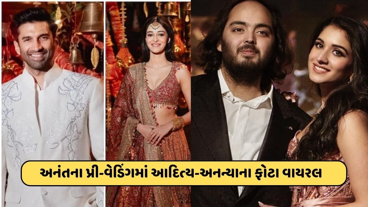 અનન્યા પાંડે-આદિત્ય રોય કપૂરના સંબંધો કન્ફર્મ ! અનંત-રાધિકાના પ્રી ...