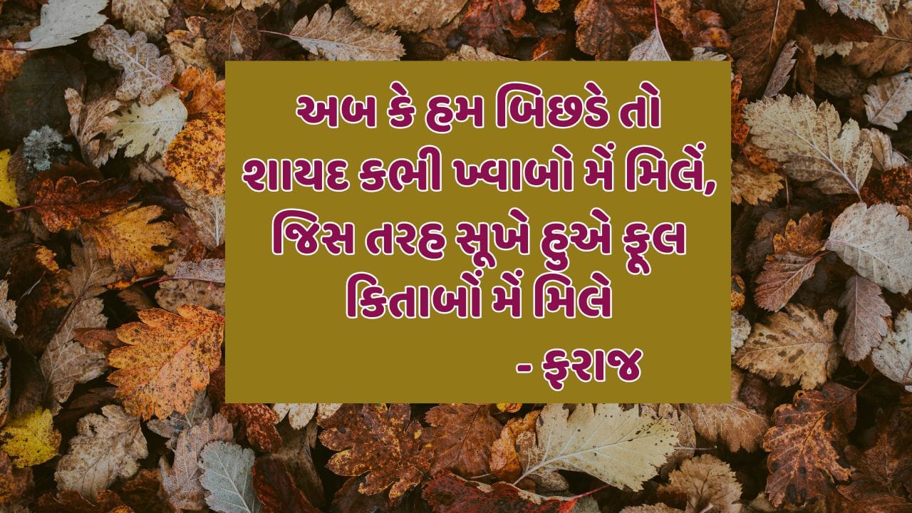 અબ કે હમ બિછડે તો શાયદ કભી ખ્વાબો મેં મિલે, જિસ તરહ સૂખે હુએ ફૂલ ...
