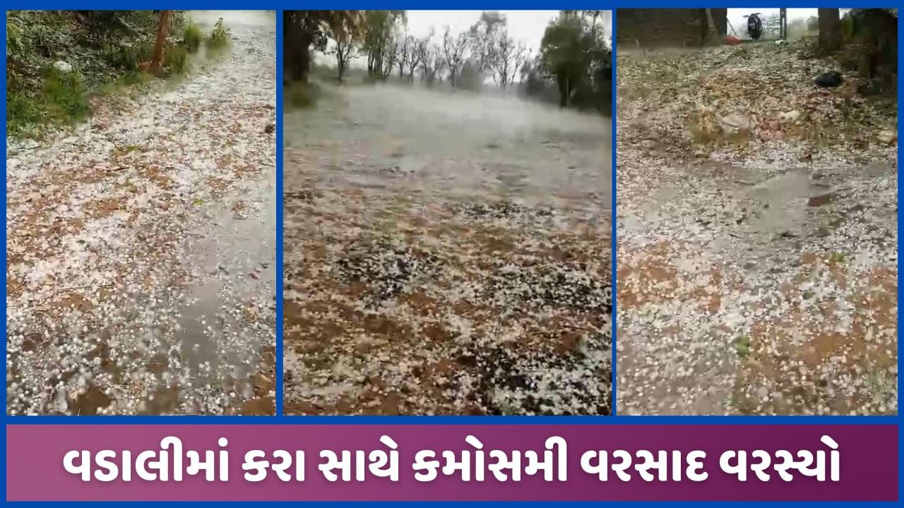 વડાલી વિસ્તારમાં કરા વરસ્યા, ખેડબ્રહ્માં અને પોશીનામાં કમોસમી વરસાદ ...