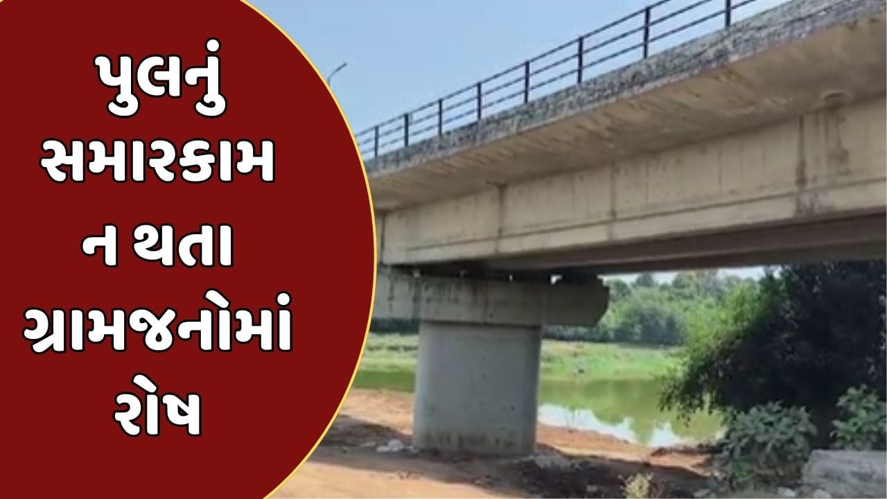 Navsari Video: આંતલિયા અને ઉંડાચ ગામને જોડતા પુલનું સમારકામ ન થતા ...