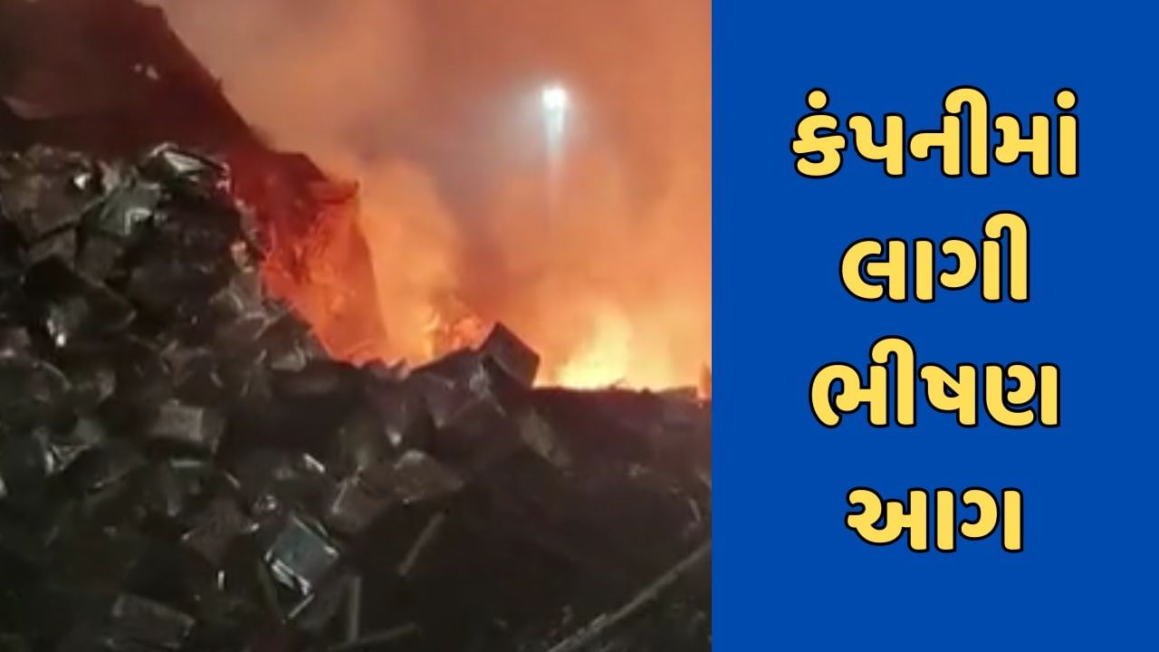 Amreli : બાબરાની GIDCમાં લોખંડ મેલ્ટ કરતી કંપનીમાં લાગી ભીષણ આગ, આસપાસના વિસ્તારોમાં અફરાતફરીનો ...