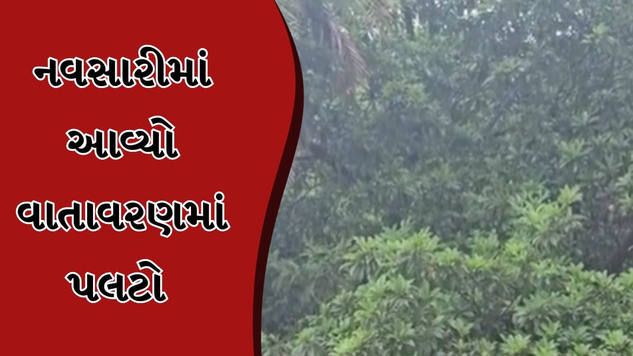 Navsari : નવસારીમાં વાતાવરણમાં અચાનક પલટો ! ગ્રામ્ય વિસ્તારોમાં વરસાદ ...