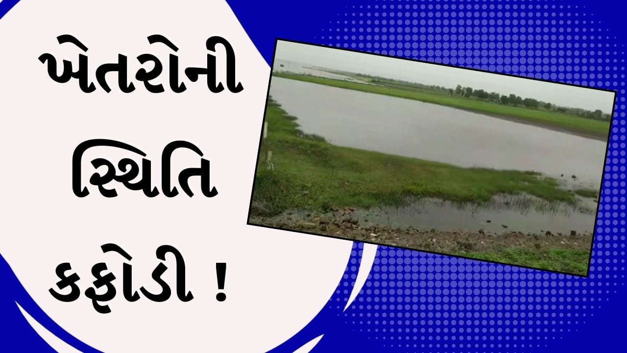 Gandhinagar Rain : માણસામાં ભારે વરસાદથી ખેતરો બેટમાં ફેરવાયા, ખેડૂતોએ ...