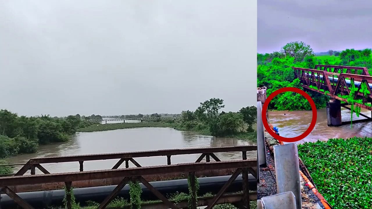 ભરૂચ વીડિયો : ઢાઢર નદીમાં એક વ્યક્તિએ મોતની છલાંગ લગાવી, ફાયર બ્રિગેડે ...