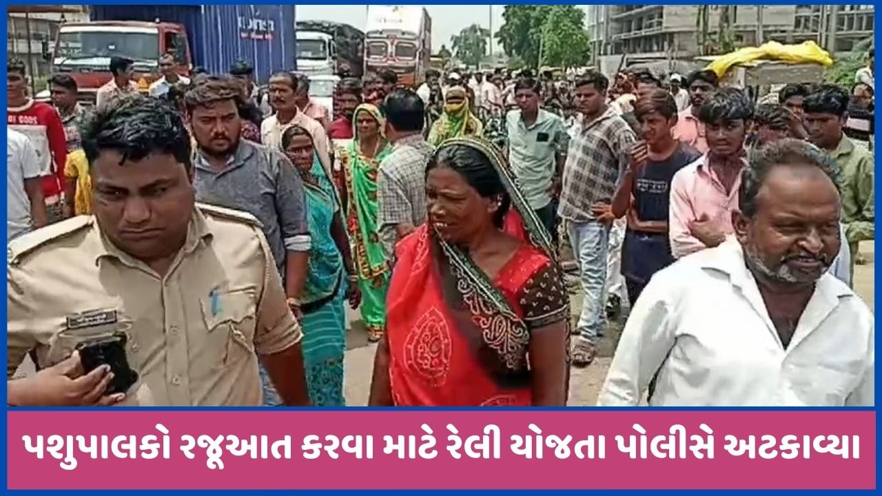 અરવલ્લીઃ સાબરડેરીના ભાવફેર સામે અસંતોષ દર્શાવી રેલી નીકાળતા પશુપાલકોને ...