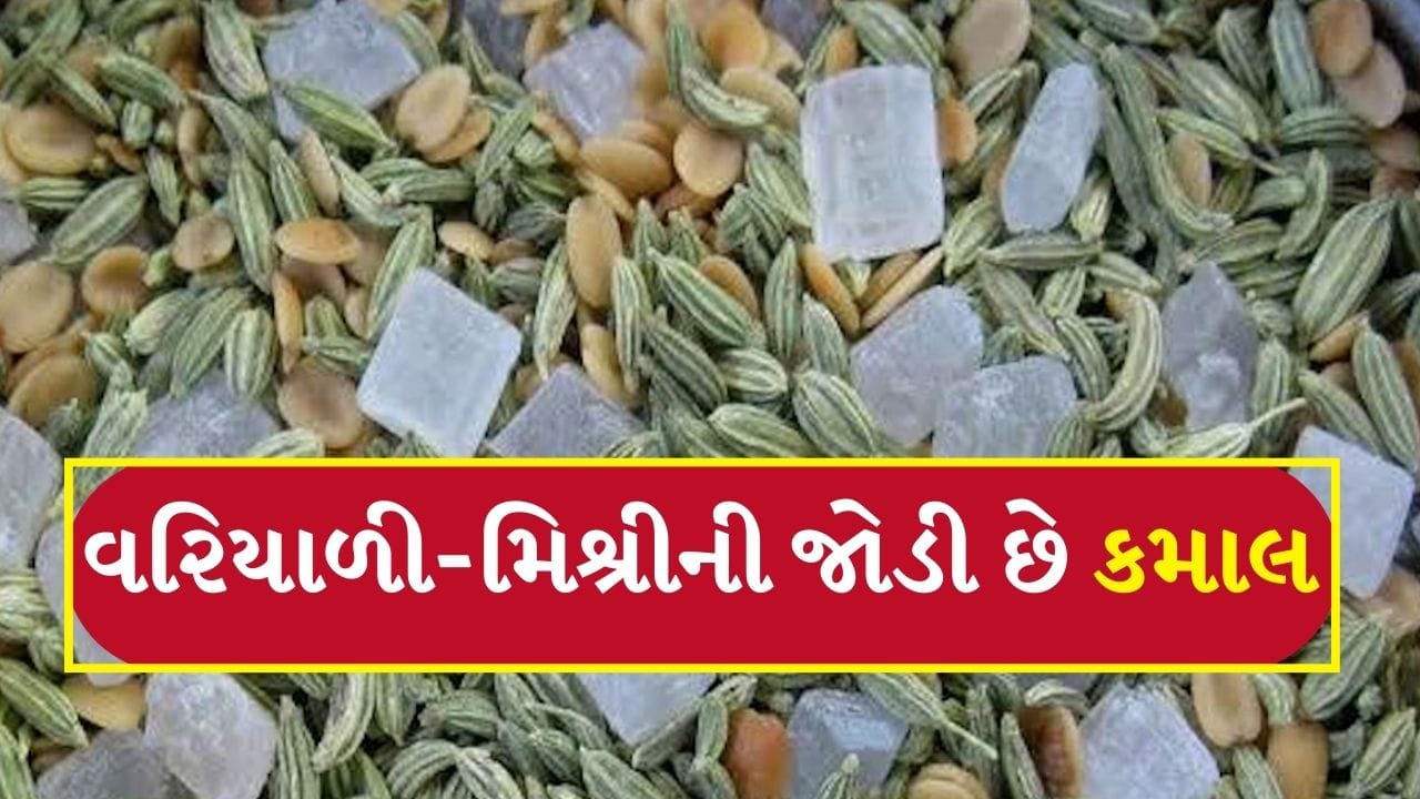 Saunf Mishri : વરિયાળી-મિશ્રીની જોડી છે લાજવાબ, સાથે ખાવાથી થાય છે આટલા ...