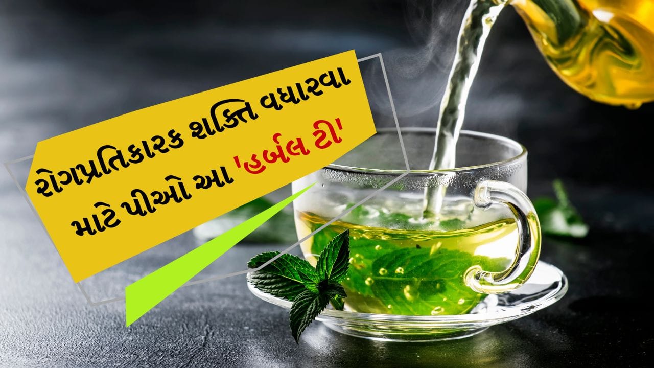 Herbal Tea : વરસાદની સિઝનમાં હર્બલ ટી પીવાનું કરો શરૂ, અનેક રોગોથી ...