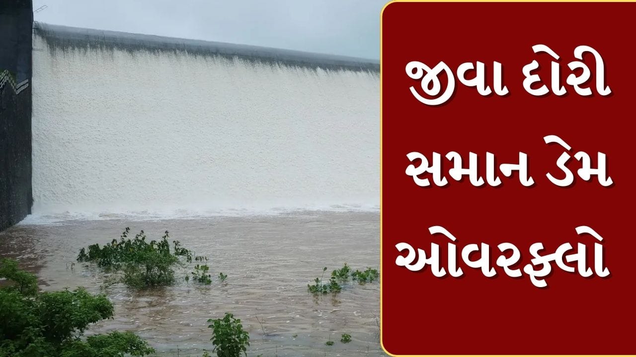 Navsari News : વાંસદા તાલુકામાં આવેલ જૂજ ડેમ થયો ઓવરફ્લો, 24 ગામને ...