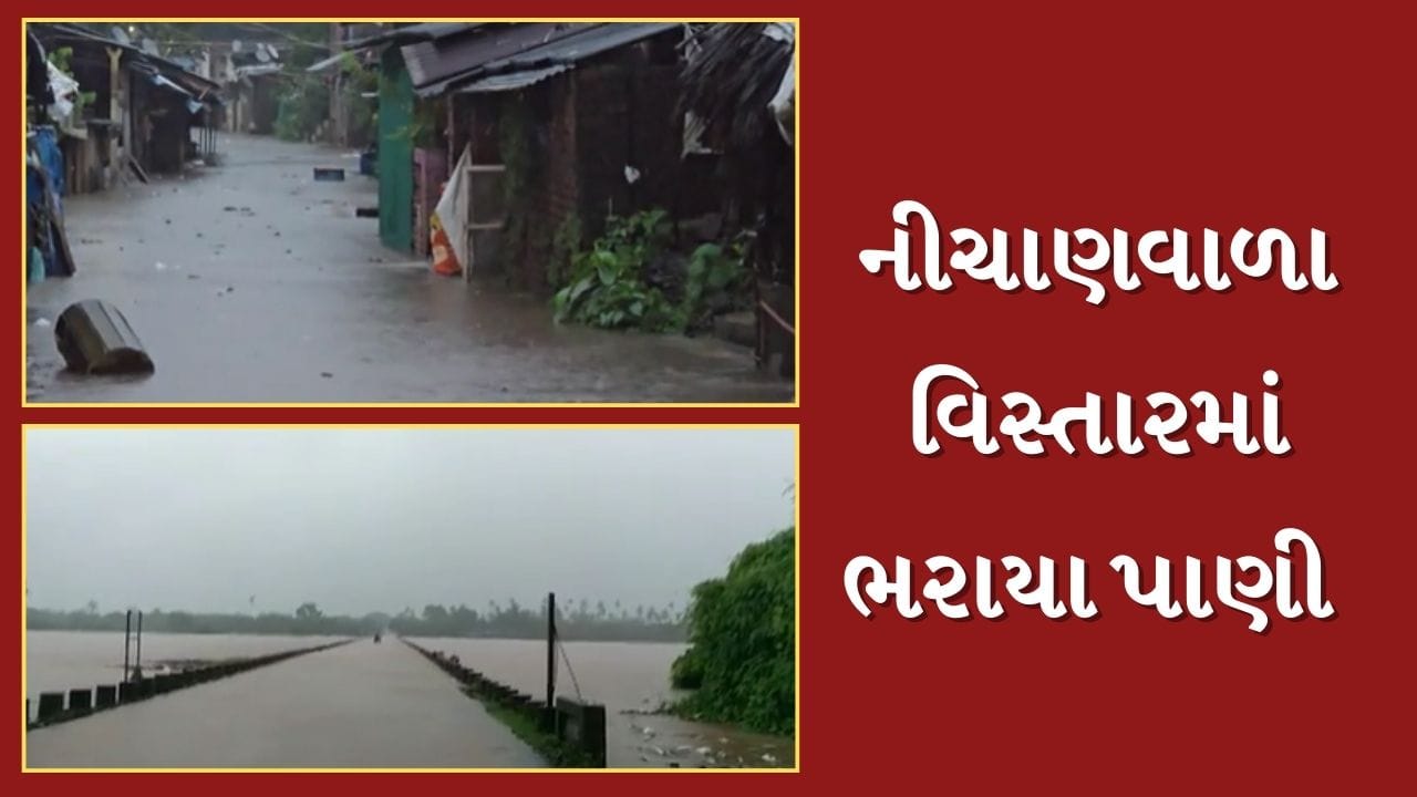 Valsad Rain : ઔરંગા નદીના પાણી નીચાણવાળા વિસ્તારમાં ફરી વળ્યા, 150 ...