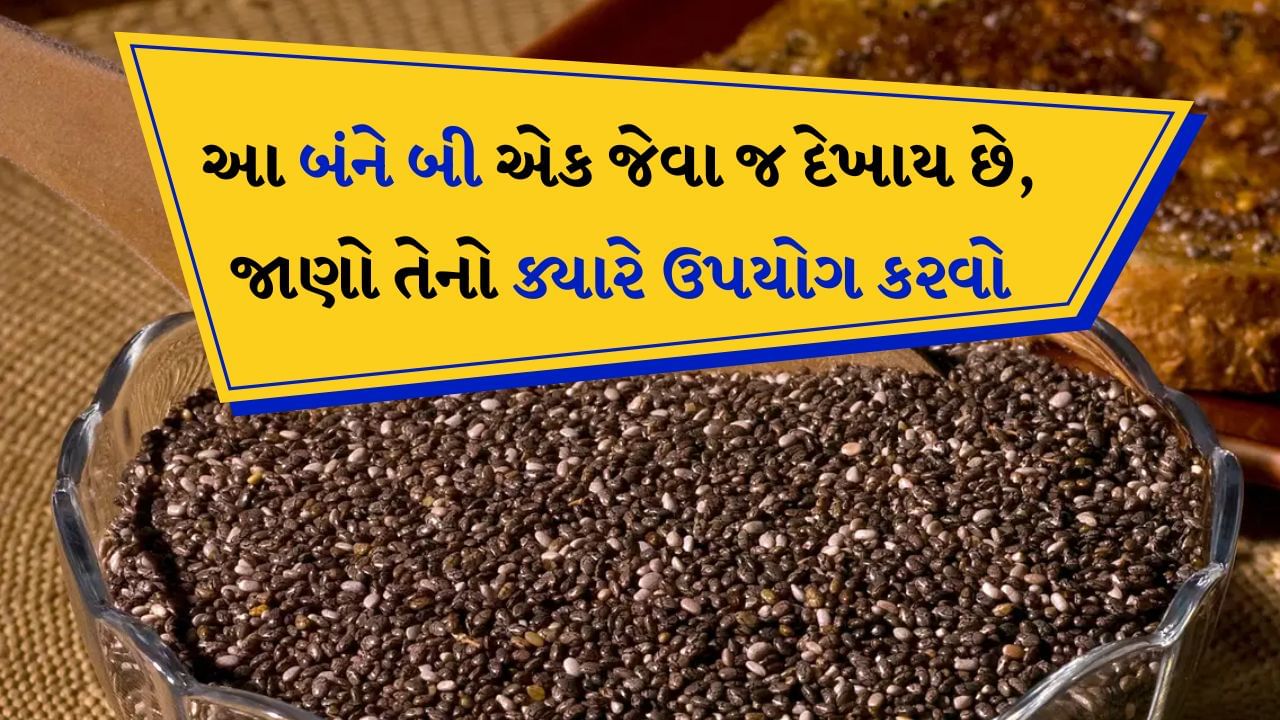 ચિયા અને સબ્જા બીજ વચ્ચે શું તફાવત છે, તેનો કેવી કેવી રીતે મળે છે લાભ ...