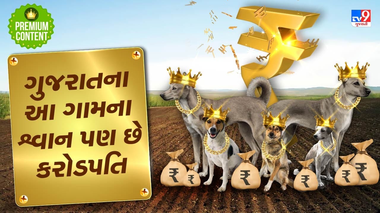 ગુજરાતના આ ગામના શ્વાન પણ છે કરોડપતિ, દર વર્ષે કમાય છે કરોડો રૂપિયા ...