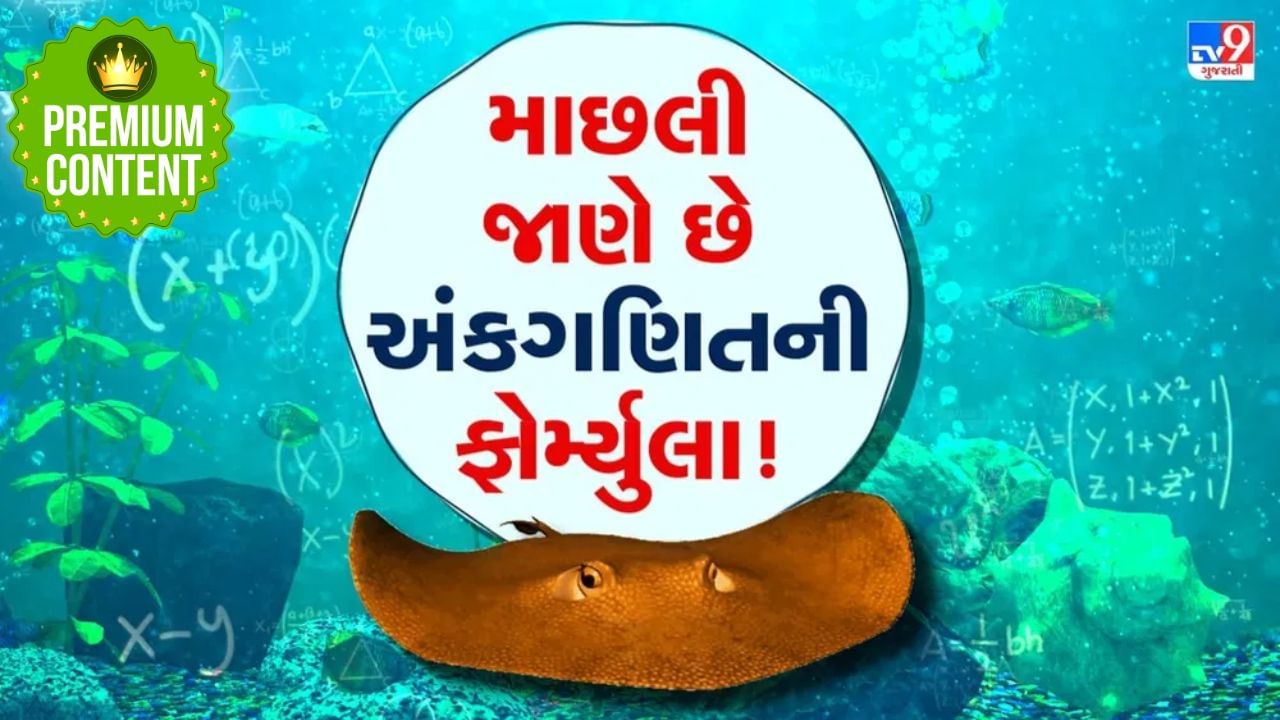 માણસોની જેમ આ માછલીઓ પણ જાણે છે અંકગણિતની ફોર્મ્યુલા, જુઓ Video - Gujarati News | These fish ...