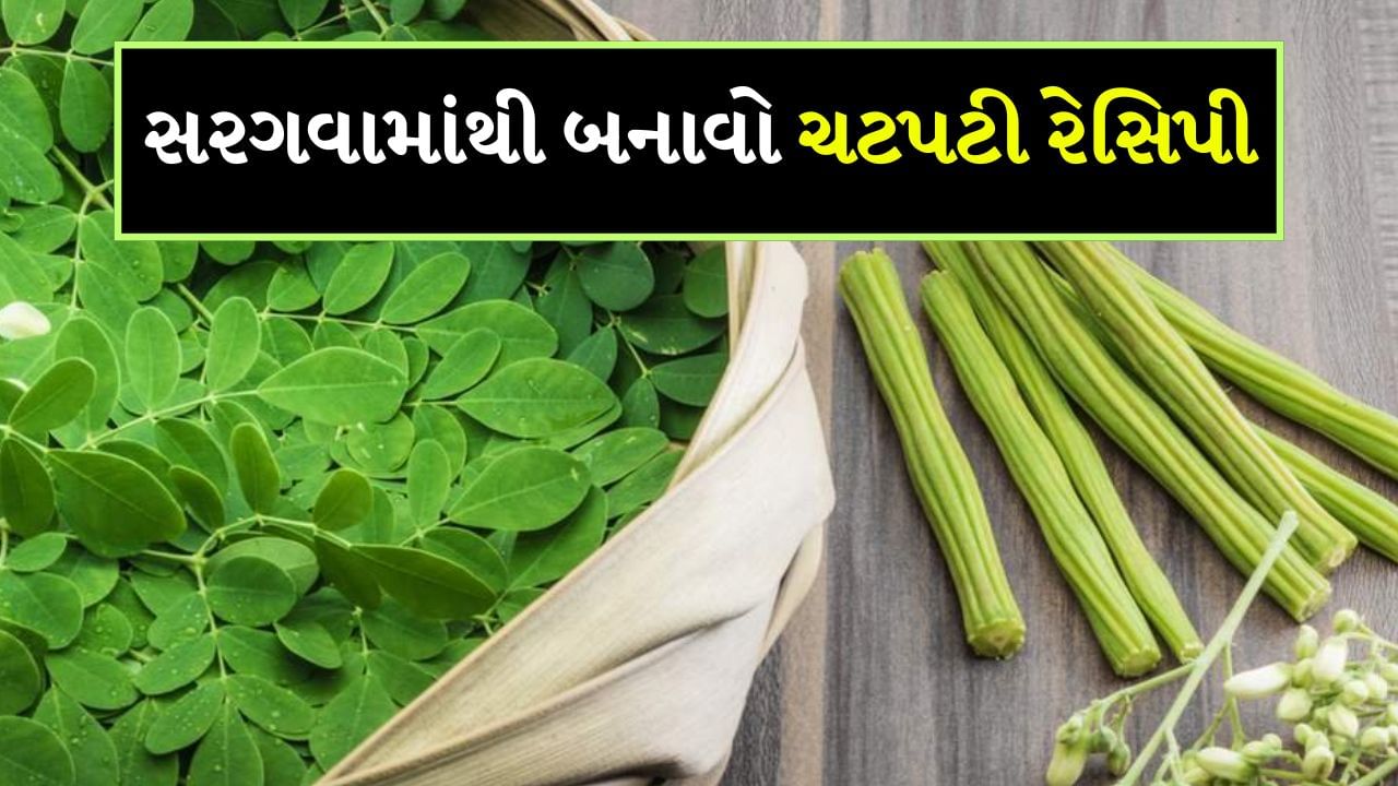 સરગવાને અલગ-અલગ રીત રસોઈમાં કરો સામેલ, હેલ્થ પ્રોબ્લેમ થઈ જશે છુમંતર ...