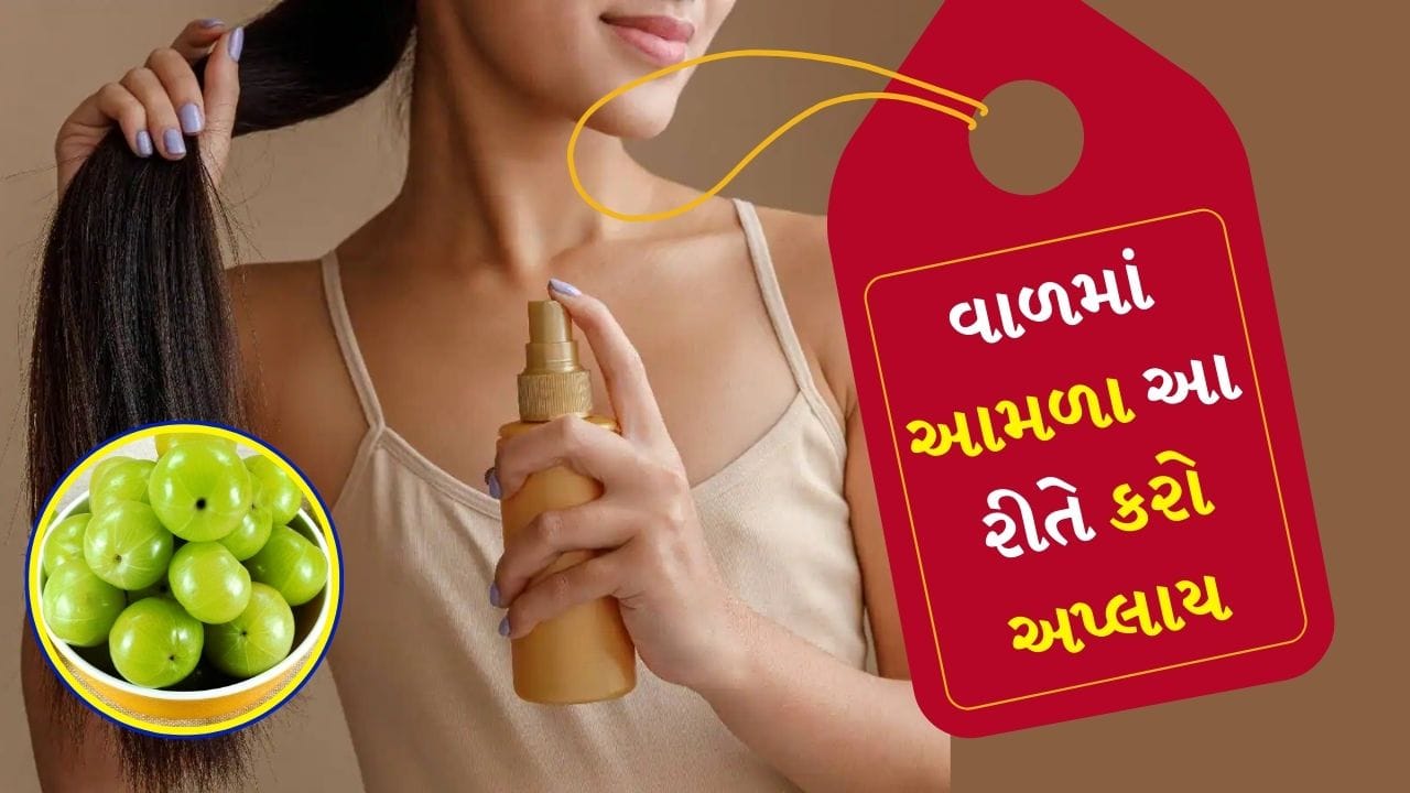 Hair Care Tips : આમળામાં આ વસ્તુઓ મિક્સ કરીને વાળમાં લગાવો, ખરતા વાળ અને ડેન્ડ્રફથી મળશે રાહત ...