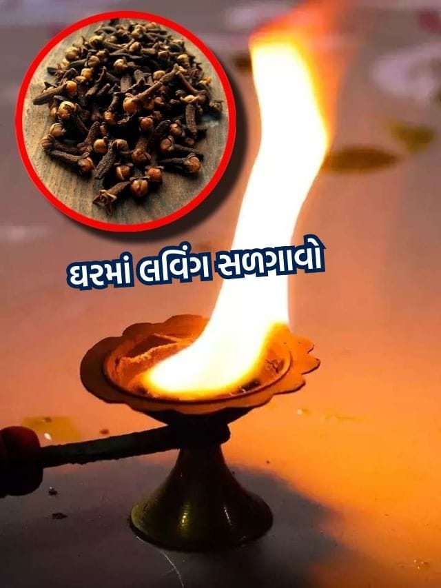 Burning Cloves : ઘરમાં લવિંગ સળગાવવાથી શું થાય ? જાણી લો – Tv9 Gujarati
