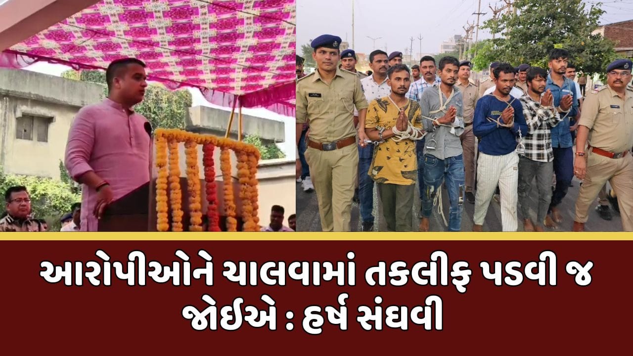 હમણાં જે વરઘોડા નીકળે છે તે ખૂબ સારા નીકળે છે, જાણો હર્ષ સંઘવી કેમ ...