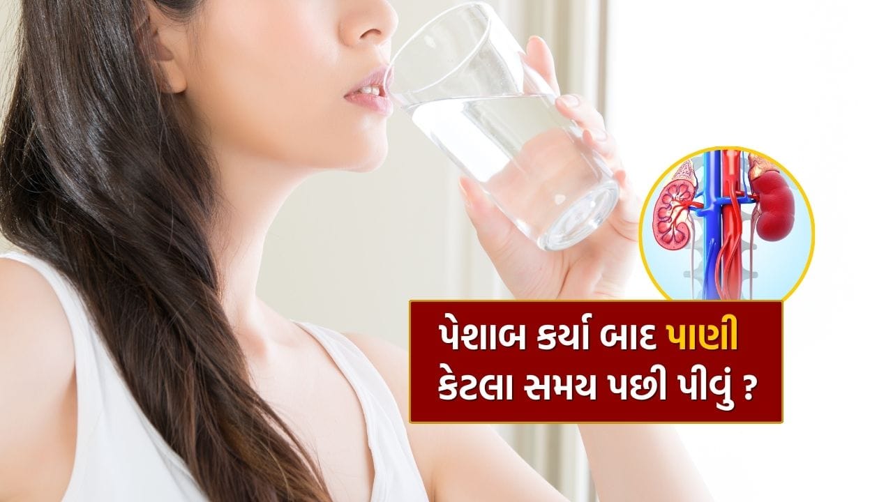 Drink Water After Urine : પેશાબ કર્યા બાદ કેટલા સમય પછી પાણી પીવું જોઈએ ...